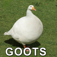 All Photoshop Memes | Know Your Meme