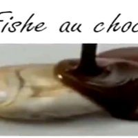 Le Fishe | Know Your Meme