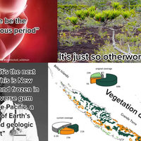 Related Sub-entries for TikTok Photo Slideshows / Photo Mode | Know ...