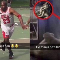 What Does 'I'm Him' Mean? The Meaning Of The Taunt 'He Thinks He's Him ...