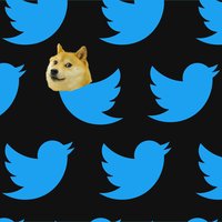 From Dogecoin To The Department Of Government Efficiency: Elon Musk's ...