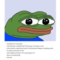 She Laughs and Says It's a Good X Sir meme depicting a 4chan greentext post with a pepe on top.
