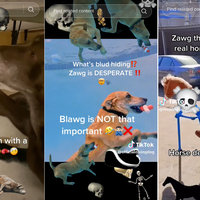 Related Sub-entries for Internet Slang | Know Your Meme