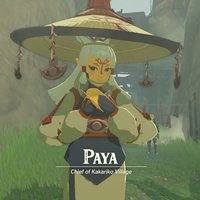 Related Sub-entries for The Legend of Zelda | Know Your Meme