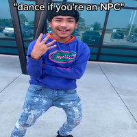NPC / Non-Playable Character | Know Your Meme
