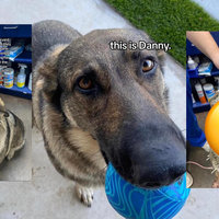 All Hoax Memes | Know Your Meme