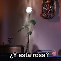 Related Sub-entries for Image Macros | Know Your Meme