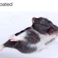 Where Does The 'Wait I'm Goated' Meme Come From? The Catchphrase ...