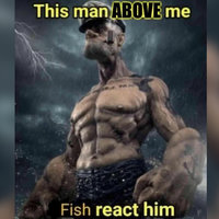 Related Sub-entries for Image Macros | Know Your Meme