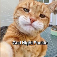 Related Sub-entries for Internet Slang | Know Your Meme