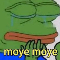 What Does 'Moye Moye' Mean? Memes About 'Džanum' By Teya Dora And The ...