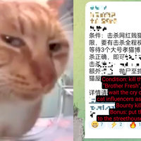 Mr. Fresh / Side Eye Cat | Know Your Meme