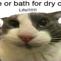 Related Sub-entries for Life or Death for Berryboy | Know Your Meme