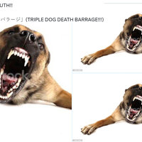 Related Sub-entries for Snowclone | Know Your Meme