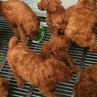 All Snowclone Memes | Know Your Meme