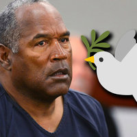 The Best OJ Simpson Death Memes And Why The Internet Thinks OJ Did It ...