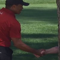 Why Is Tiger Woods Shaking Hands With A Tree? Golf's Most Surreal Meme ...
