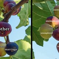 Related Sub-entries for TikTok | Know Your Meme