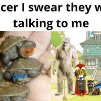 All Image Macro Memes | Know Your Meme