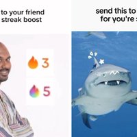 Related Sub-entries for TikTok | Know Your Meme