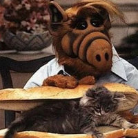 Related Sub-entries for Cats | Know Your Meme