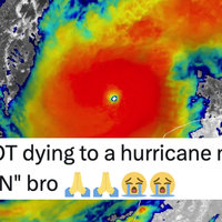 All Disaster Memes | Know Your Meme