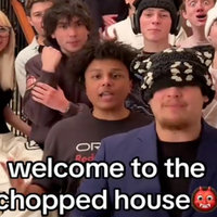 Bop House | Know Your Meme