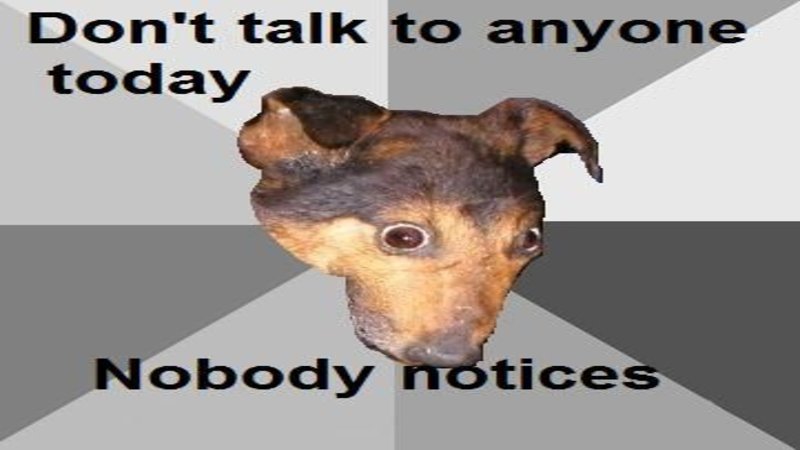 Depression Dog | Know Your Meme