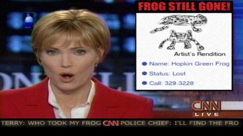 Hopkin Green Frog | Know Your Meme