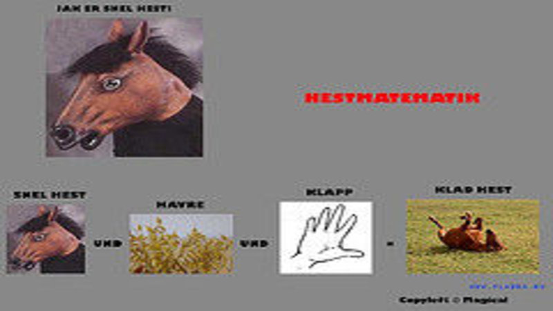Snel hest | Know Your Meme