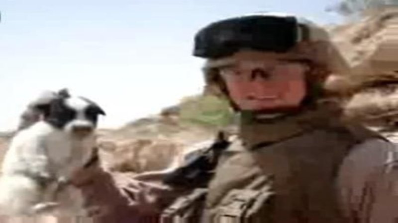 David Motari / Soldier Throws Puppy Off a Cliff | Know Your Meme