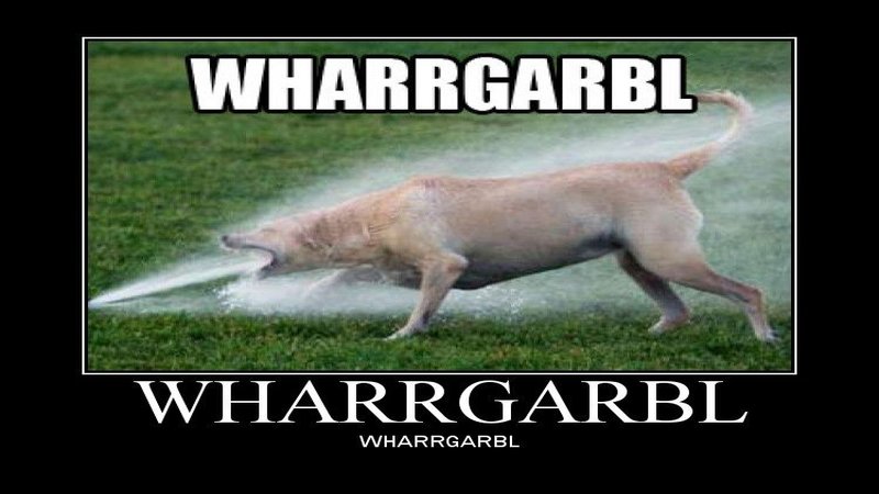 WHARRGARBL / Sprinkler Dog | Know Your Meme