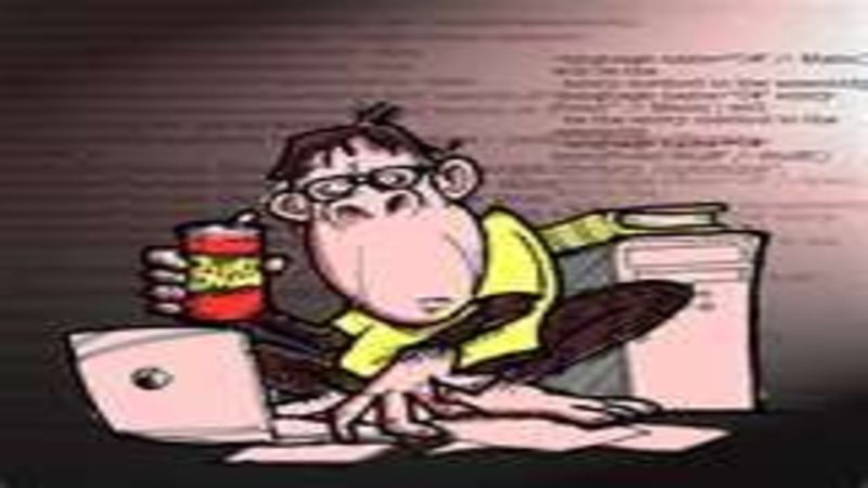 Code monkey | Know Your Meme