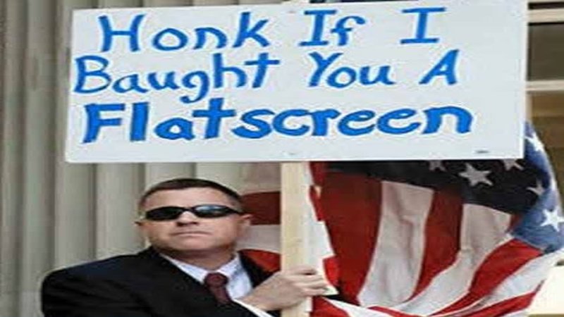 Misspelled Tea Party Protest Signs