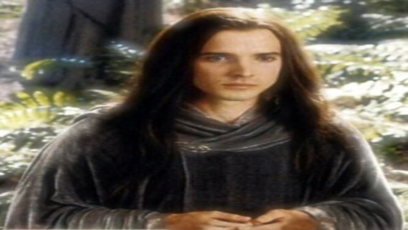 Figwit | Know Your Meme