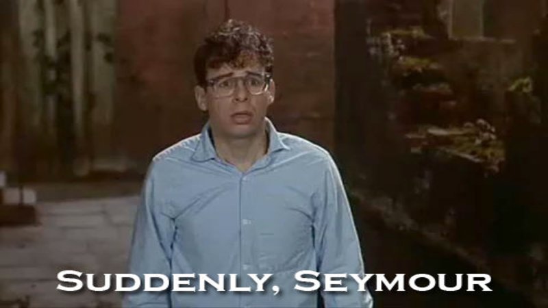 Suddenly Seymour | Know Your Meme
