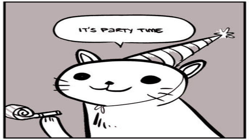 Party Cat | Know Your Meme