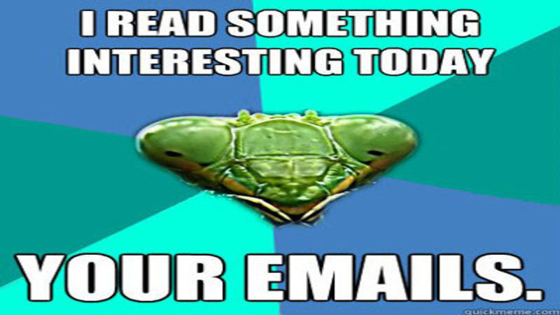 Crazy Girlfriend Praying Mantis | Know Your Meme