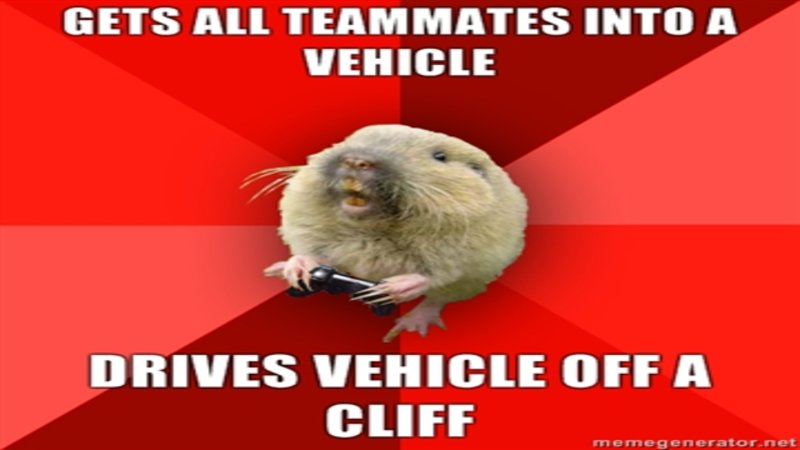 Gaming Gopher | Know Your Meme