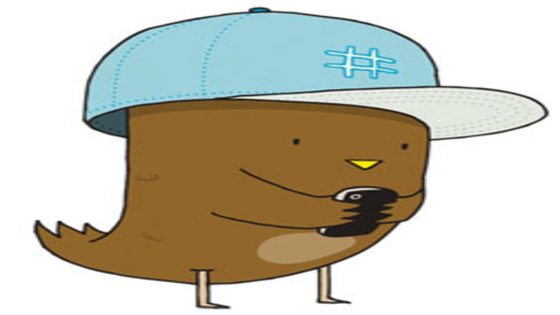 Brown Twitter Bird | Know Your Meme