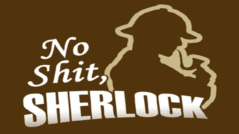 No Shit, Sherlock | Know Your Meme
