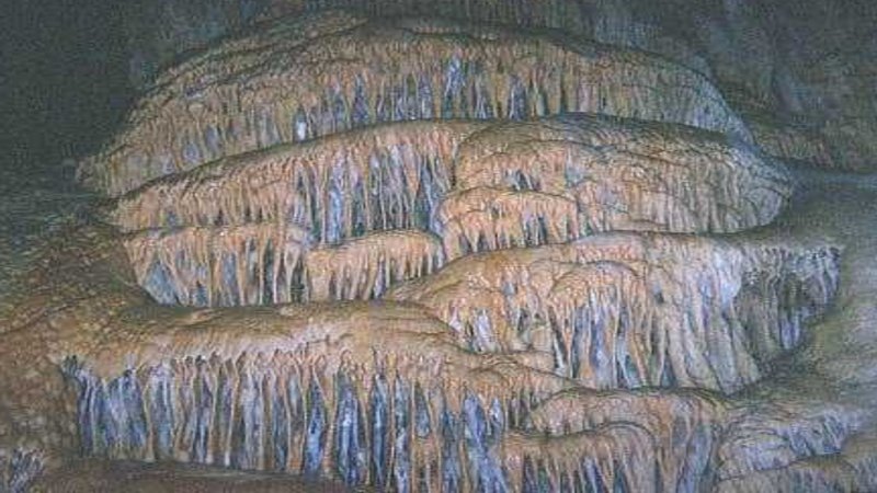 Ted the Caver | Know Your Meme