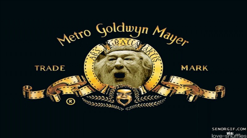 Color The Mgm Lion Coffee