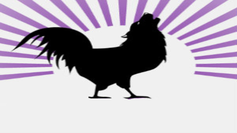 Greatest International Scavenger Hunt The World Has Ever Seen (GISHWHES ...