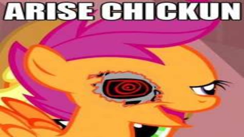 Chickun | Know Your Meme