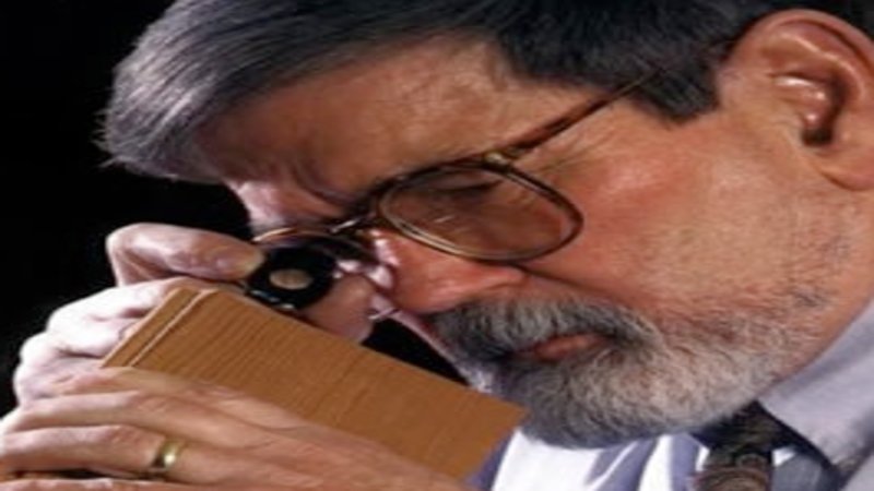 Identifying Wood | Know Your Meme