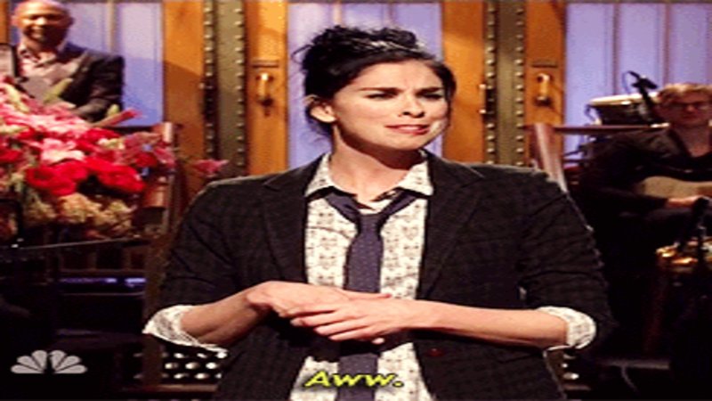 Sarah Silverman | Know Your Meme