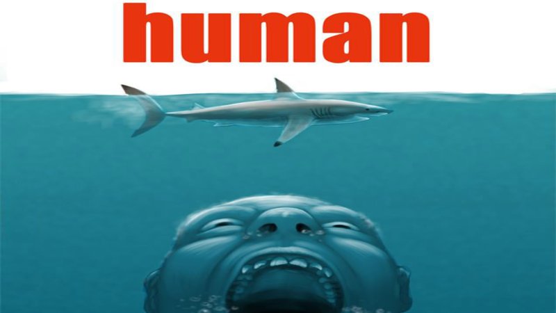 Jaws Poster Parodies | Know Your Meme