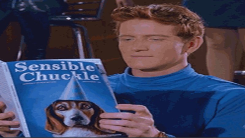 Sensible Chuckle | Know Your Meme