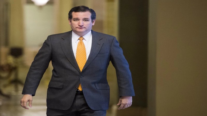 The Delegates, Donald | Know Your Meme